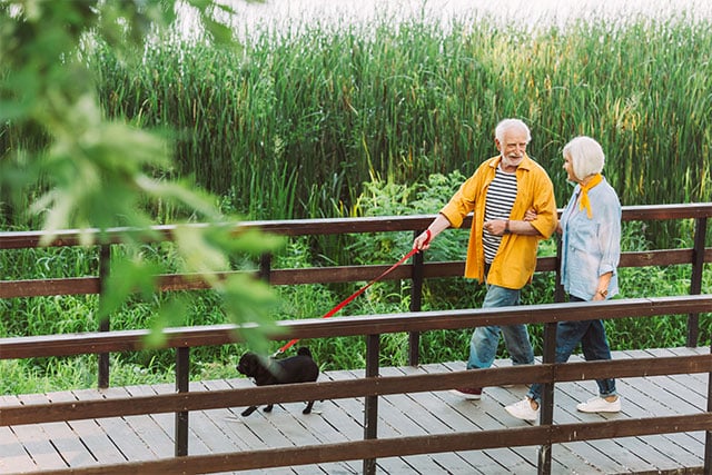Soak Up the Sun! 7 Outdoor Activities for Seniors